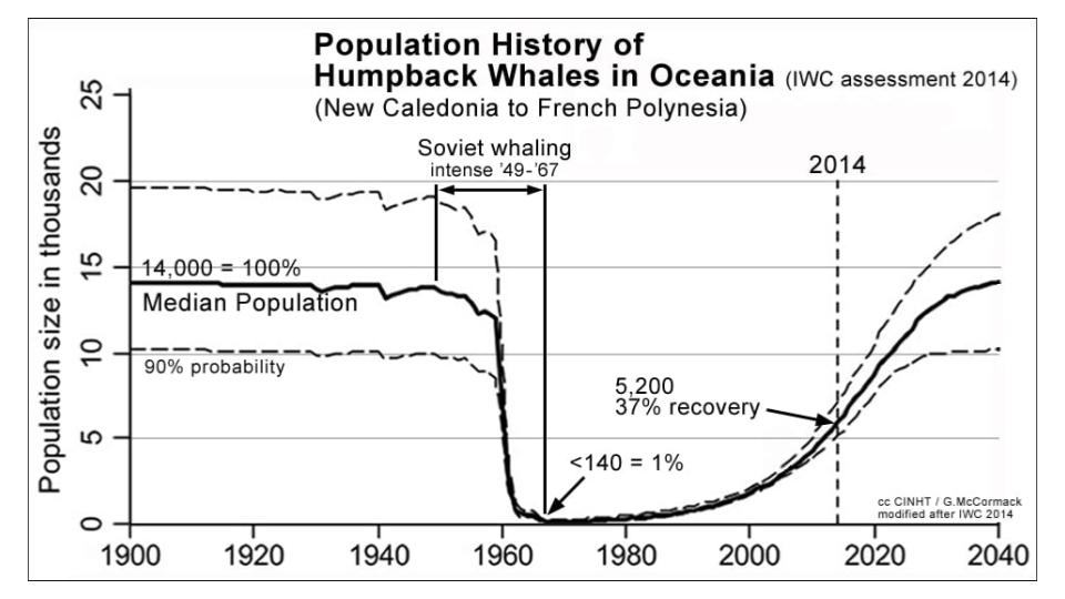 The Return: Population History of Humpback Whales in Oceania - Slow ...